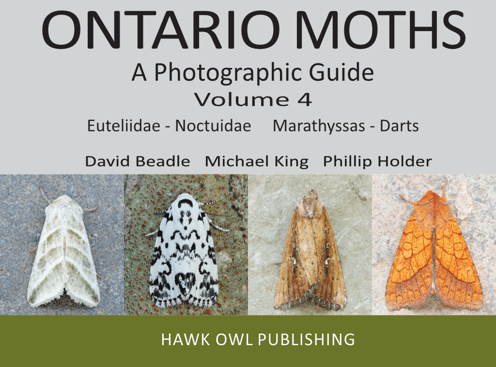Ontario Moths Volume 3 b | Hawk Owl Publishing